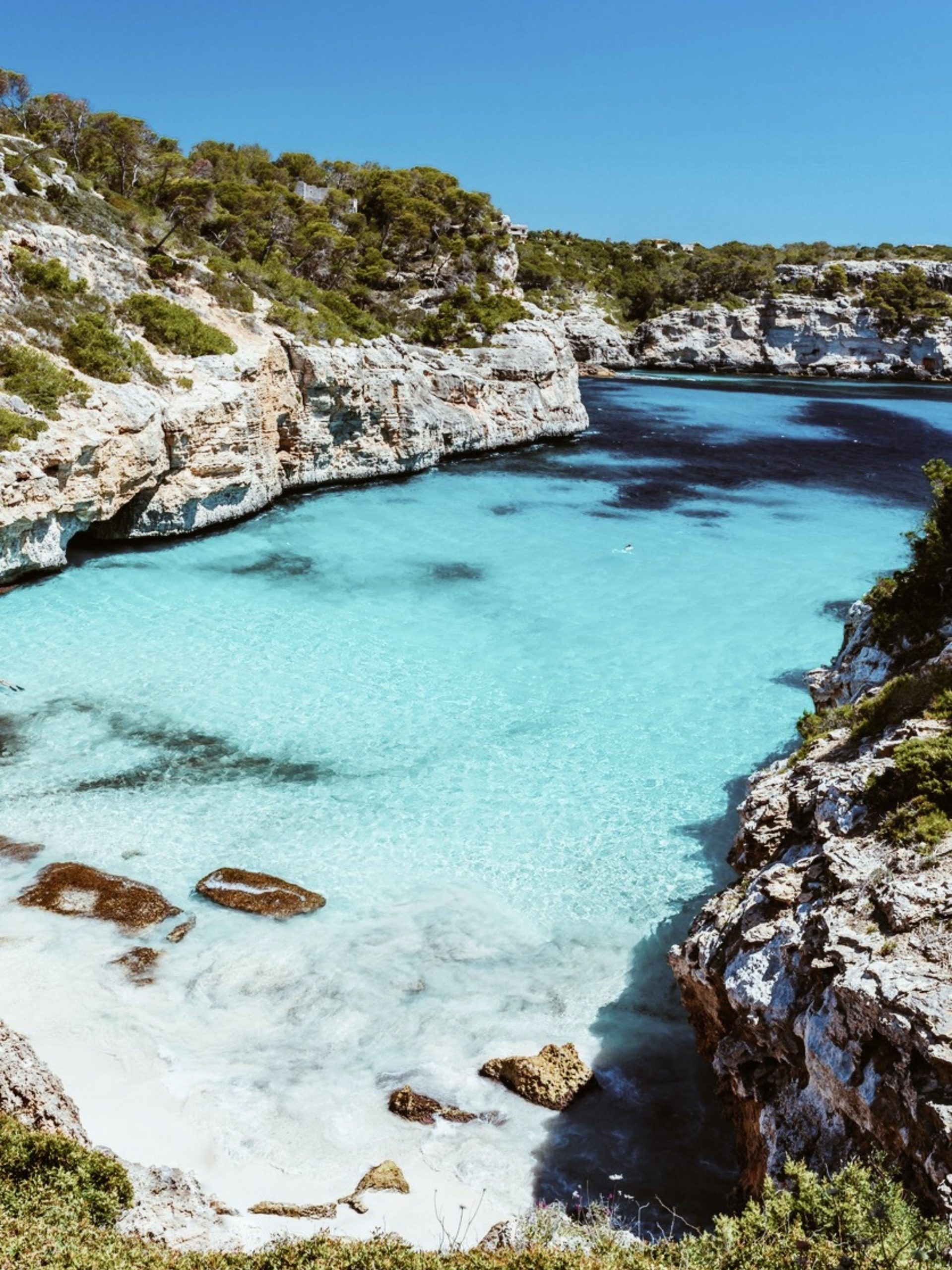Inicio - LA CALA